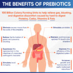 Raw Probiotics 100 Billion CFU Organic With Prebiotics, Digestive ...