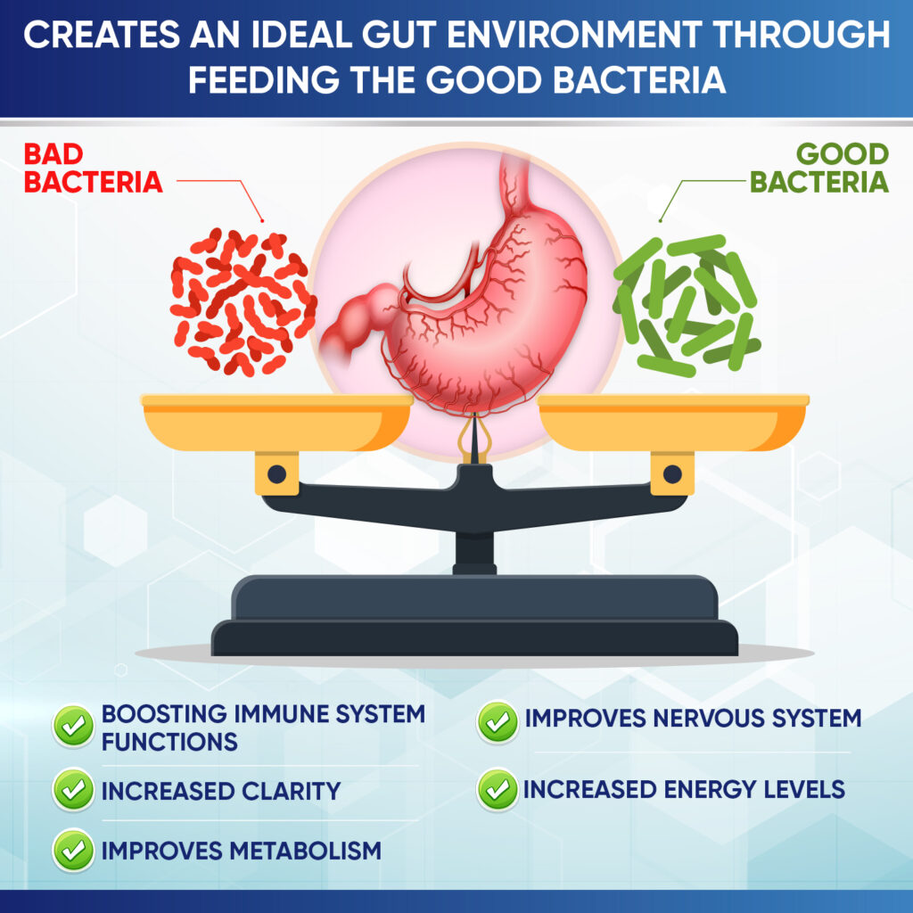 Raw Probiotics 100 Billion CFU Organic With Prebiotics, Digestive ...